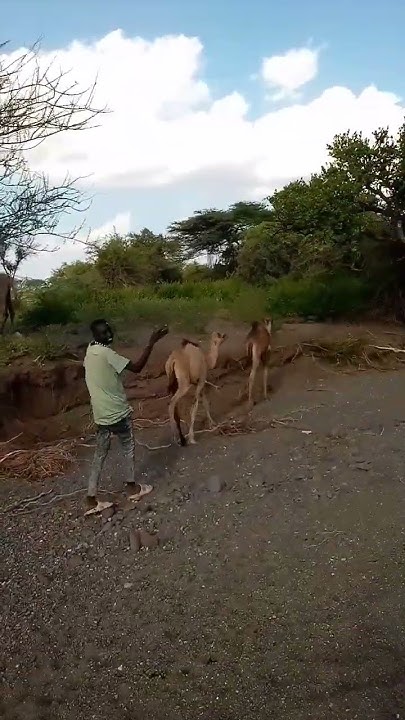 Kenya rive Ben j de fyne bwoy - YouTube