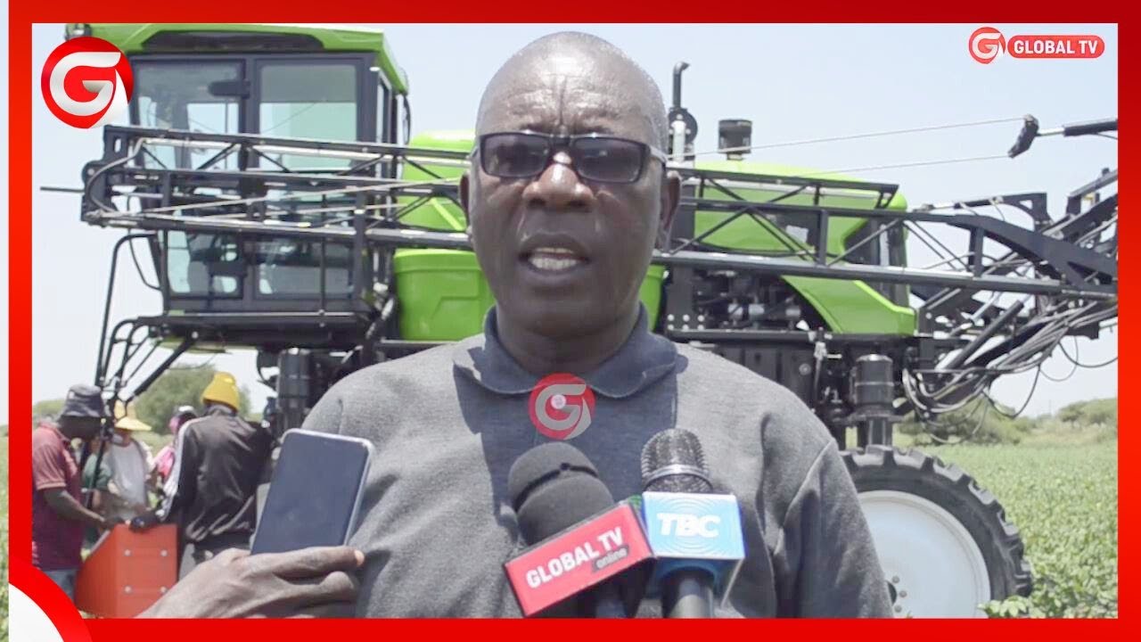TAZAMA MAPINDUZI MAKUBWA KILIMO cha PAMBA - SERIKALI YASHUSHA MITAMBO ...
