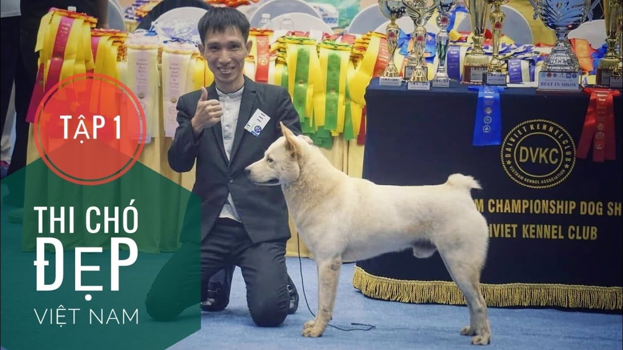 T1: Nơi Cao Thủ Tranh Tài - DogShow DVKC - Tháng 10 -2022 / NhamTuatTV ...
