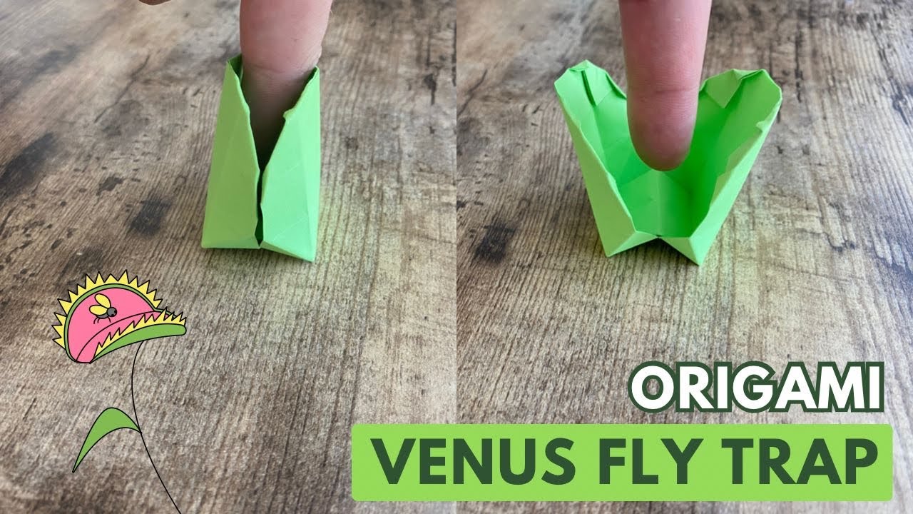 ORIGAMI VENUS FLY TRAP PLANT PAPER TOY TUTORIAL | FUN DIY CRAFT ...