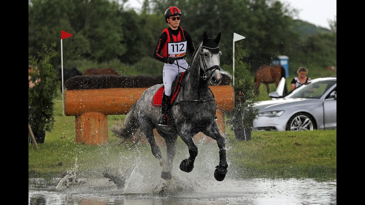 Vonk Event 2024 - M paarden - YouTube