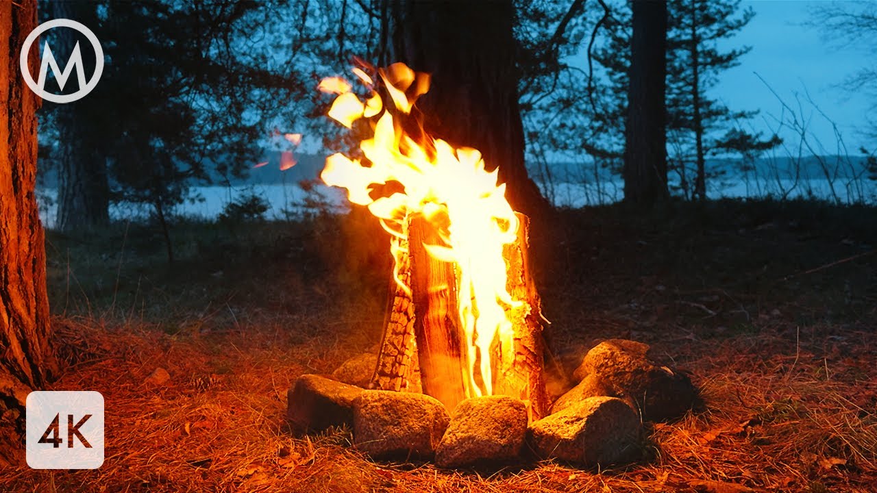 Evening Campfire 🔥 Moments of Warmth and Wonder with Sounds of ...