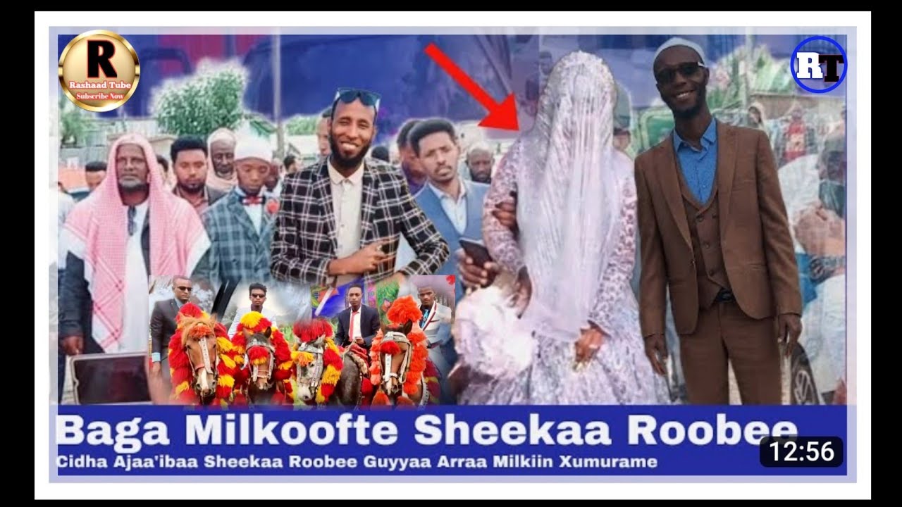 Cidha _Sheka_Robe Baarakallahu Lakuma wabarik Alaykum wajama'aa bayna ...