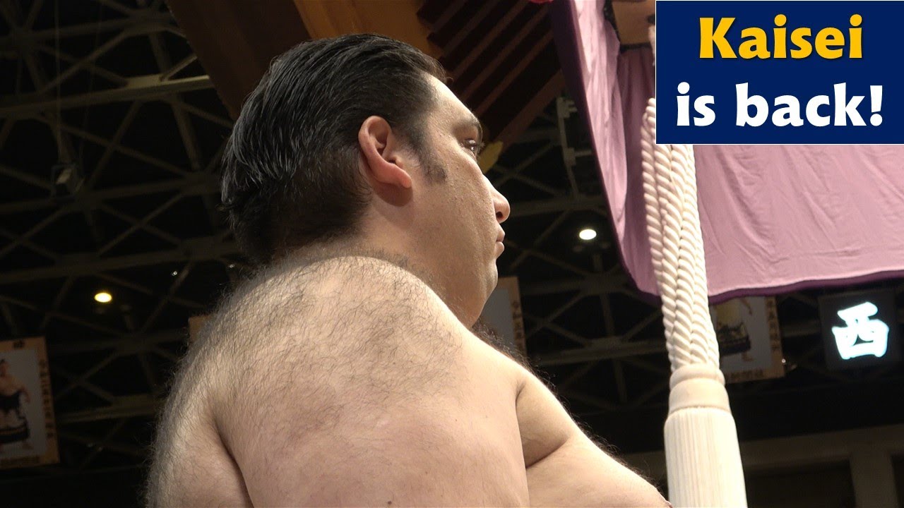 Brazilian-born Kaisei returns: The awesome ringside view - YouTube