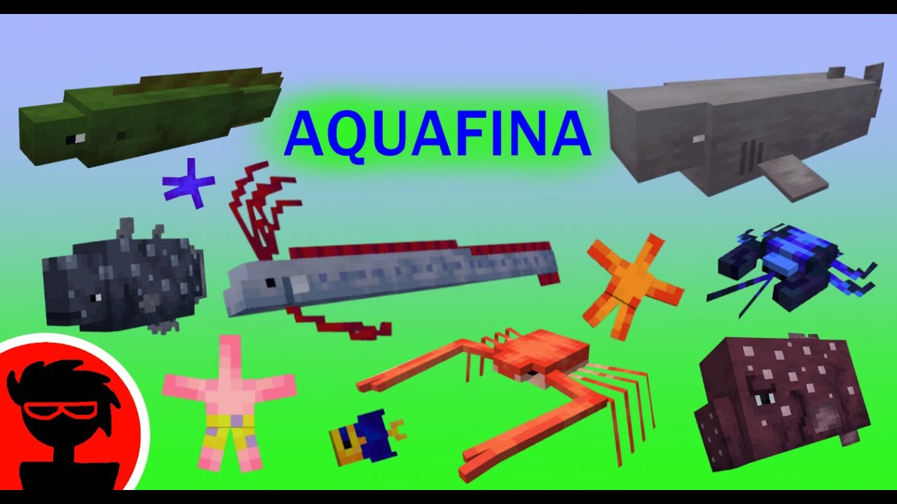 Minecraft Mods : Aquafina 1.16.5 (More Fish!) Part 1 - YouTube