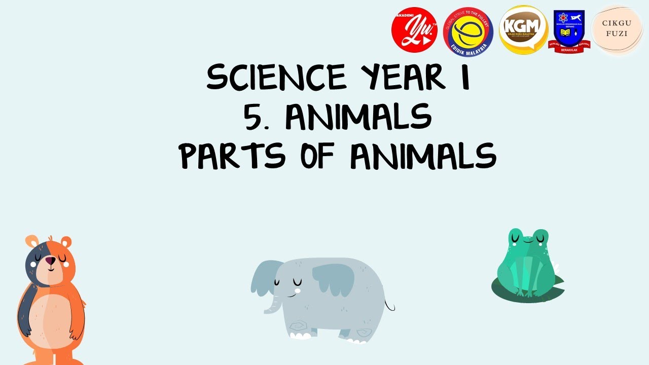 Science Year 1: Animals (parts of Animals) - YouTube