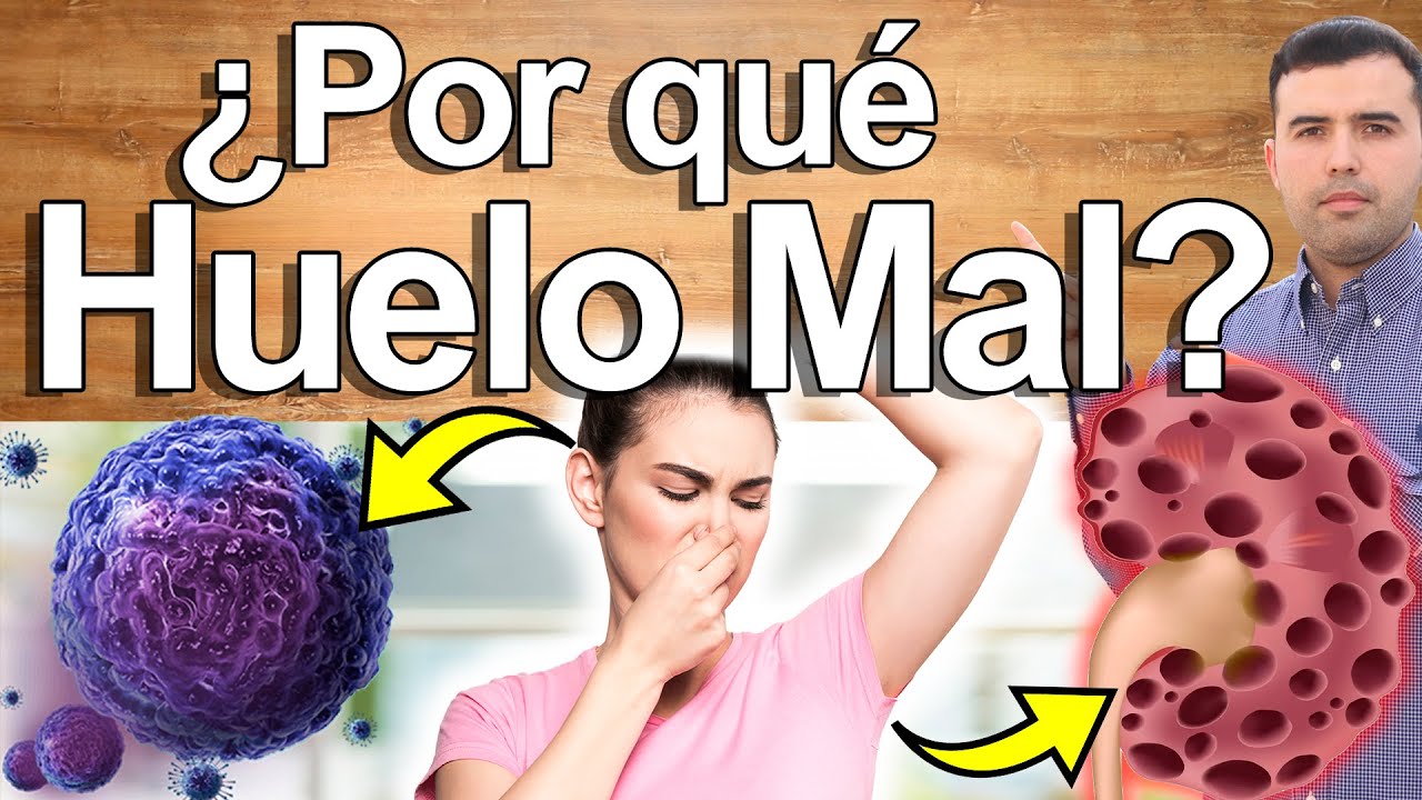 Por Qué Huelo Mal? - Causas y Enfermedades Que Producen Mal Olor ...