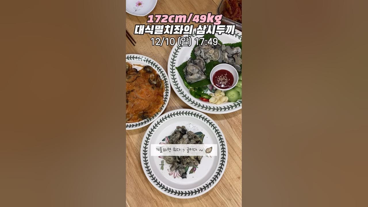 172cm 49kg 대식멸치좌의 삼시두끼 2탄 14 또띠아 육개장 치킨마요덮밥 굴전 굴찜 굴 맥주 냉면
