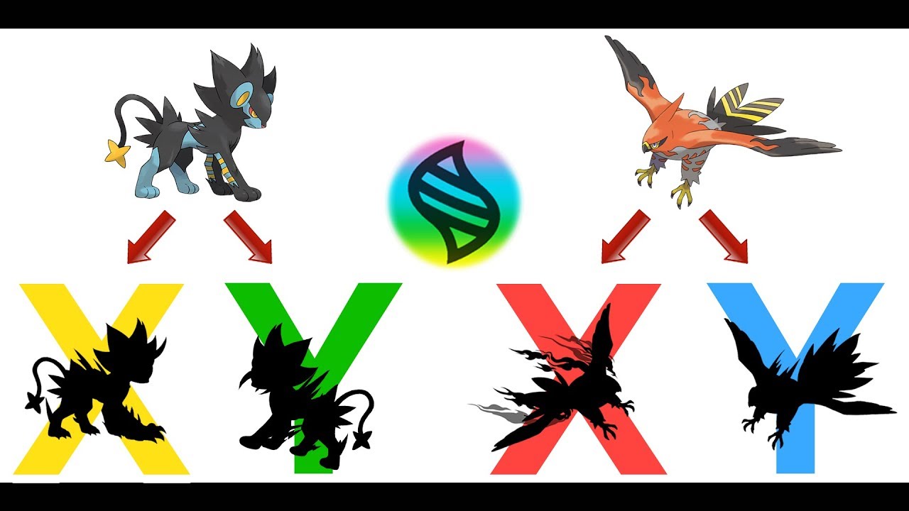 Mega Luxray X, Y - Mega Talonflame X, Y. - YouTube
