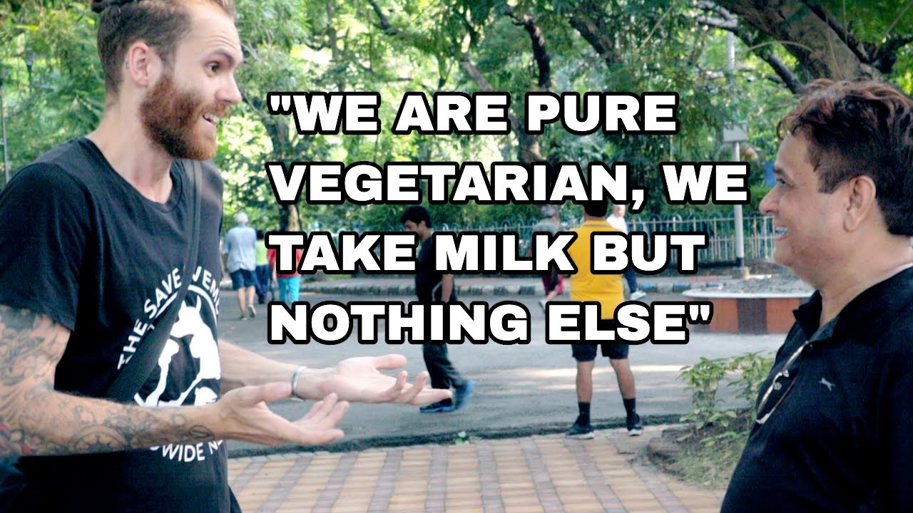 Vegan VS Vegetarian (Nicest Conversation You'll Ever See) - YouTube