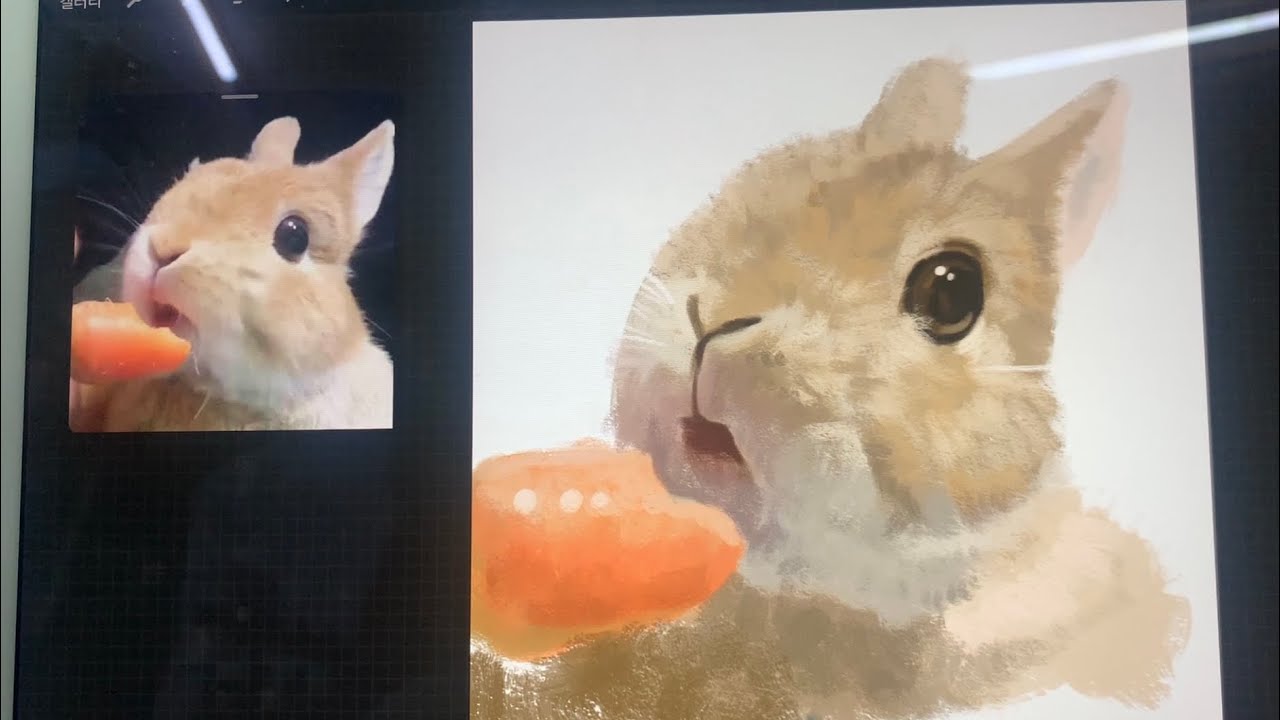 rabbit🥕🐰 - YouTube