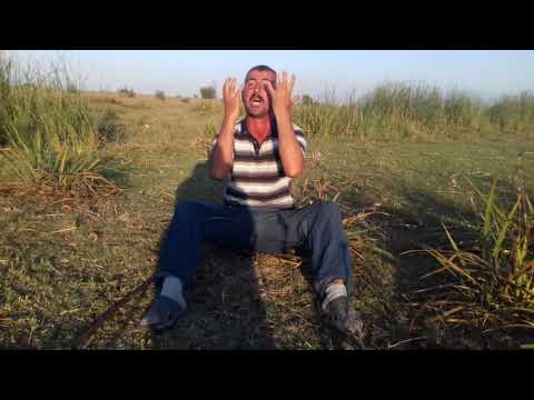 Rafayil berdeli qatib qarisdirdi