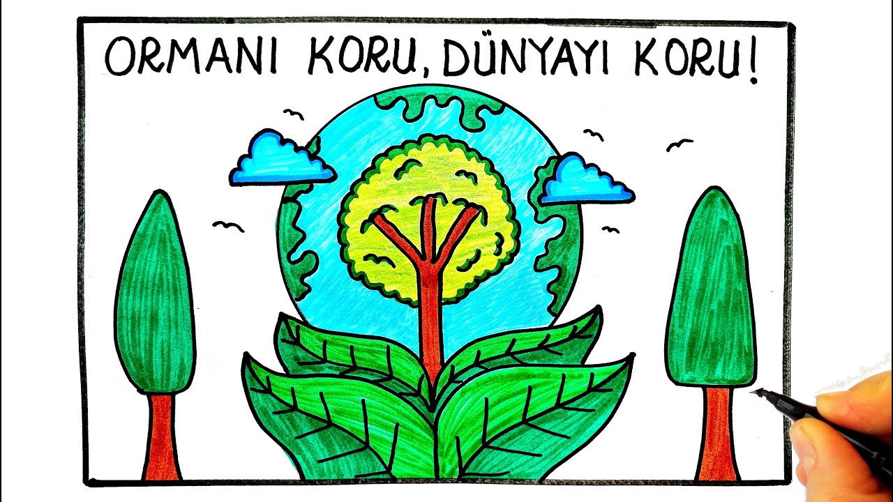 Orman Haftası Resmi Çizimi 🌲🌳 Orman Haftası İle İlgili Resim Çizimi ...