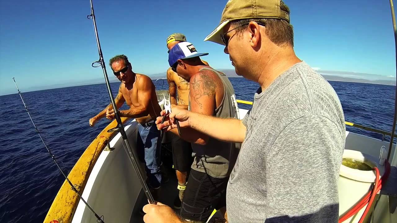 Get Outdoors: Rod and Reel Transplant Mid Yellowtail Hookup - YouTube
