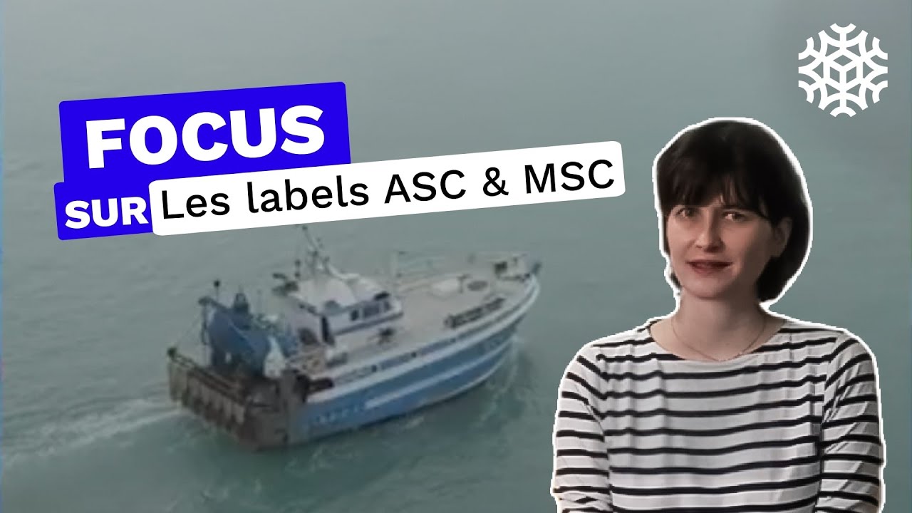 Devenez incollable sur les labels MSC et ASC ! - YouTube