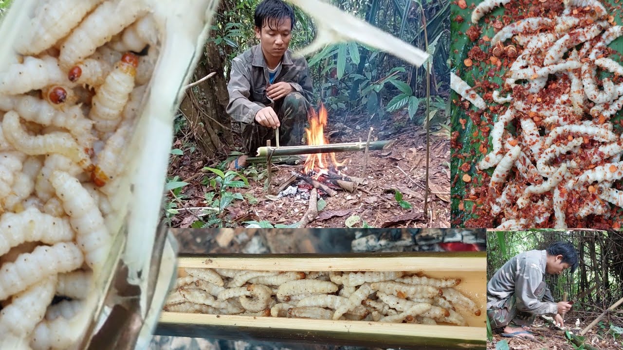 bamboo worm หาหนอนไม้ไผ่กินเองในป่า ຫາໜອນໄມ້ໄຜ່ກິນເອງໃນປ່າ - YouTube