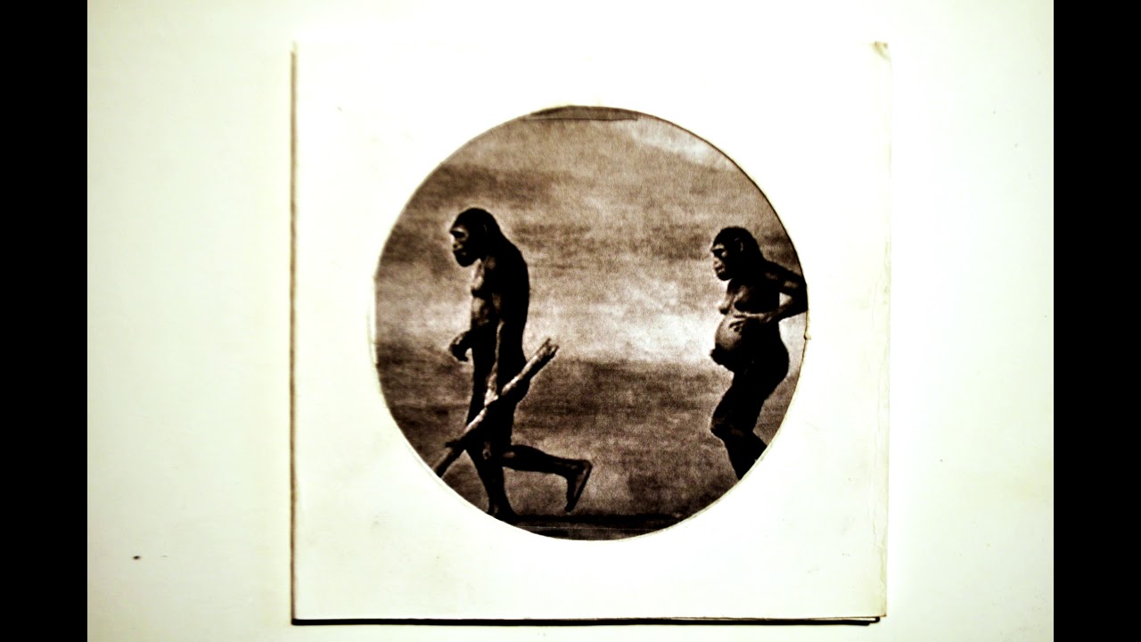 AMSIA - Australopithecus (Full Album) 2007 - YouTube Music