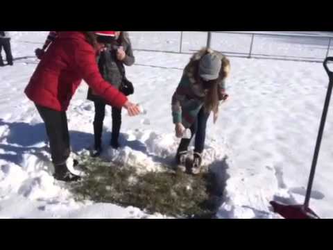 Harvey Dickson lives on at Brickie Bowl - YouTube