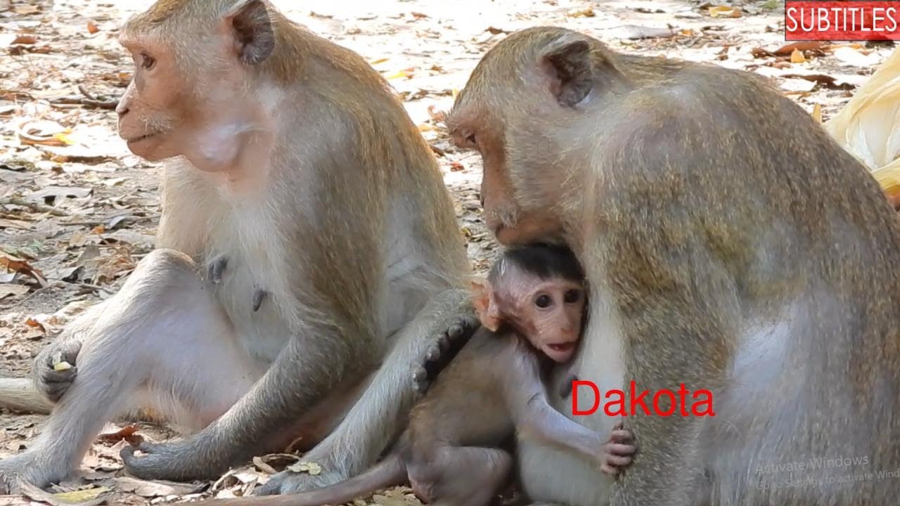 Mama Dutchess can't understand Dakota's only Granny Daisy they can ...