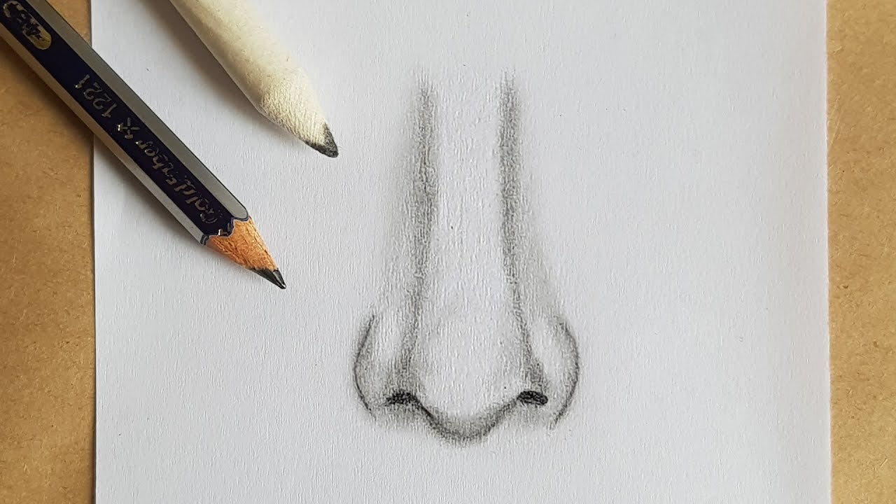 How to draw Nose for Beginners / EASY WAY TO DRAW A REALISTIC NOSE ...