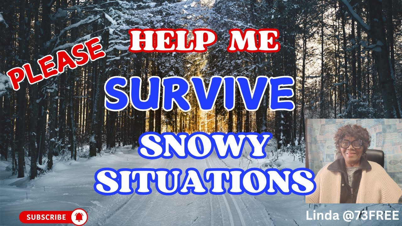FREE SNOW & ICE SURVIVAL GUIDE = Senior Solutions to SNOWY SITUATIONS ...