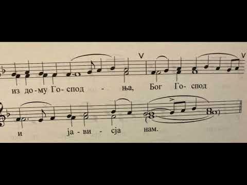 Vhodnoje Cveti