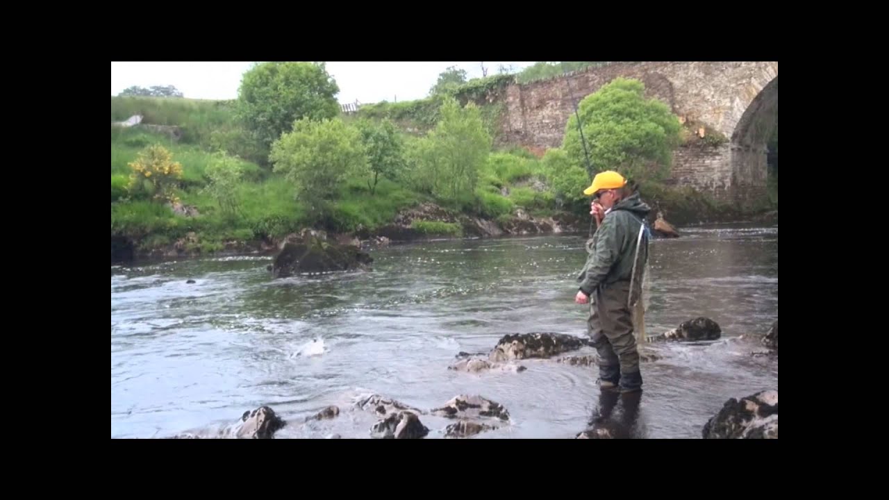 Atlantic salmon fishing on the River Finn - YouTube
