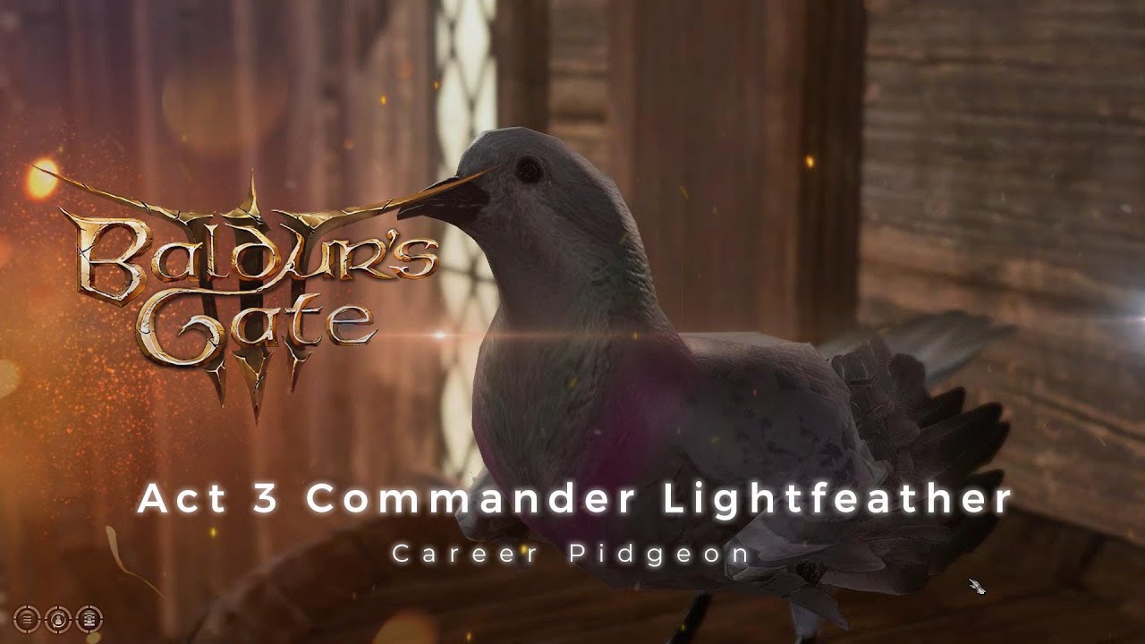Baldur's Gate 3 Act 3 Commander Lightfeather - Career Pidgeon - YouTube