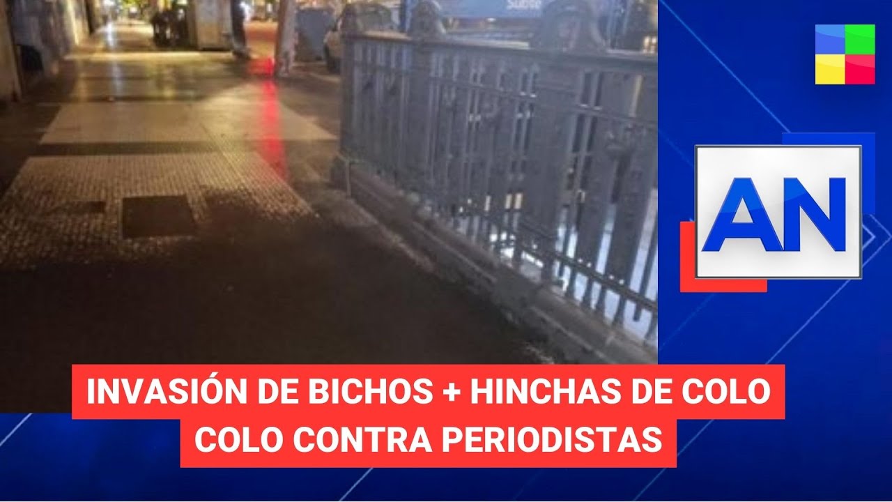 Invasión de bichos + Colo Colo: agresión de hinchas - #AméricaNoticias ...