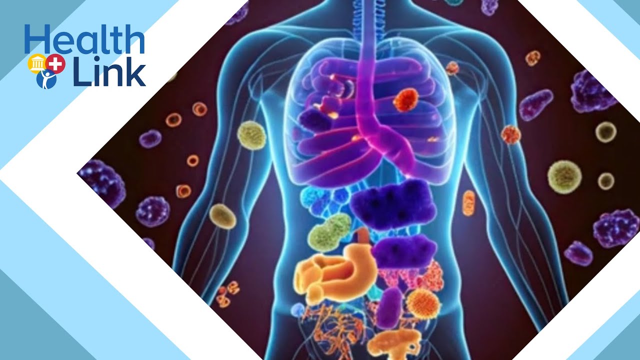 What is the hygiene hypothesis? An explainer: HealthLink - YouTube