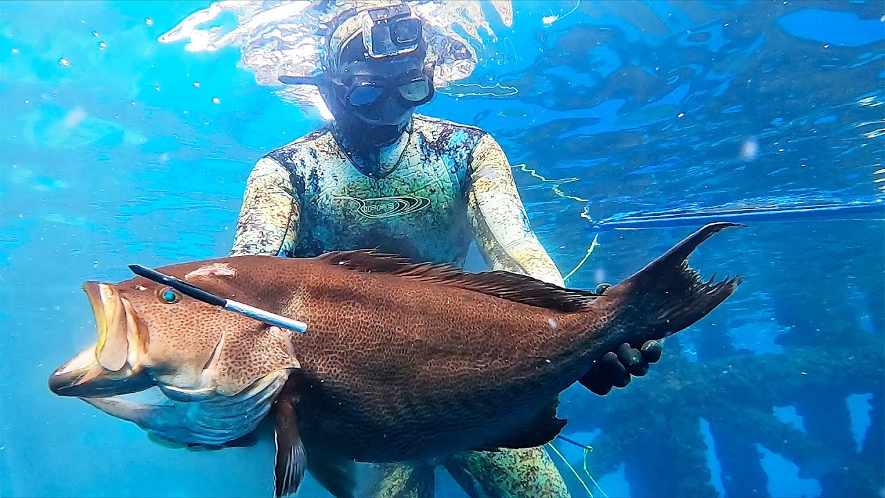 Spearfishing Offshore Oil Rigs for GIANT GROUPER, Cobia, African ...