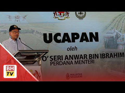 Subsidi padi naik kepada RM500 mulai esok - Anwar - YouTube