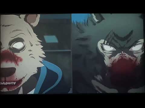 Beastars : Legoshi vs Riz final battle (I own no rights to the tv show ...