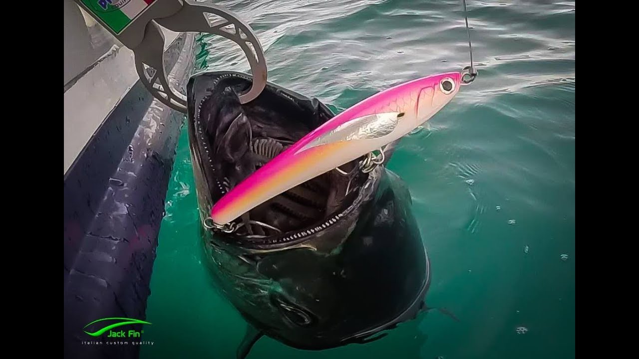 Bluefin Tuna TOPWATER with Jack Fin PELAGUS 200-F - YouTube