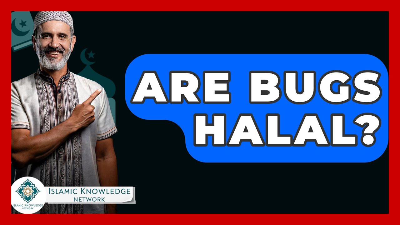Are Bugs Halal? - Islamic Knowledge Network - YouTube