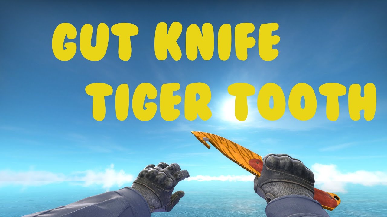 CSGO - Gut Knife Tiger Tooth Showcase - YouTube