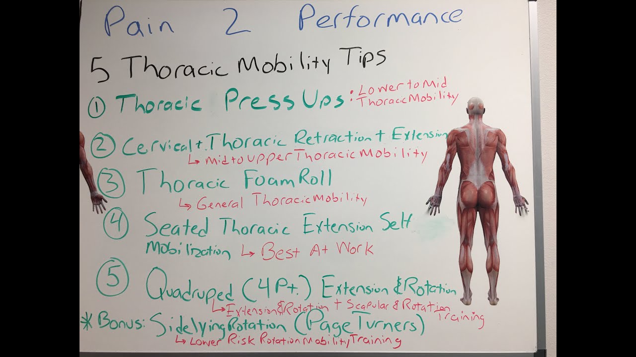 Thoracic Spine (Mid Back) Mobility for Pain Reduction and Performance ...