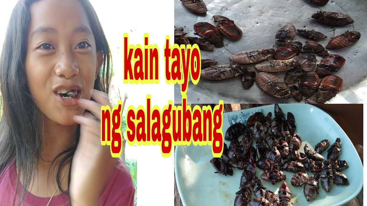 Kain tayo ng SALAGUBANG...(sibbaweng sa ilokano) - YouTube