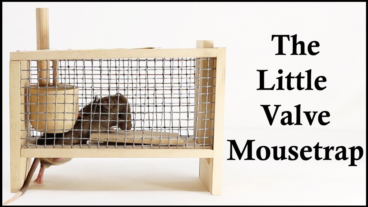 A Complicated Tinker Toy Mousetrap That Works - The Little Valve ...