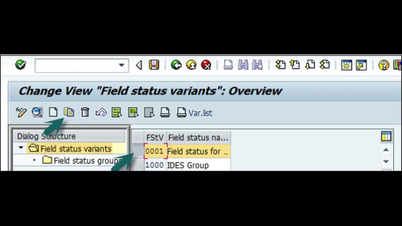 SAP FI - Field Status Group - YouTube