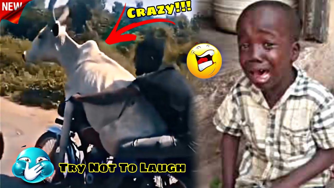 African Most Funny Videos 🤣• Try Not To Laugh | Funny Moments [Episode ...