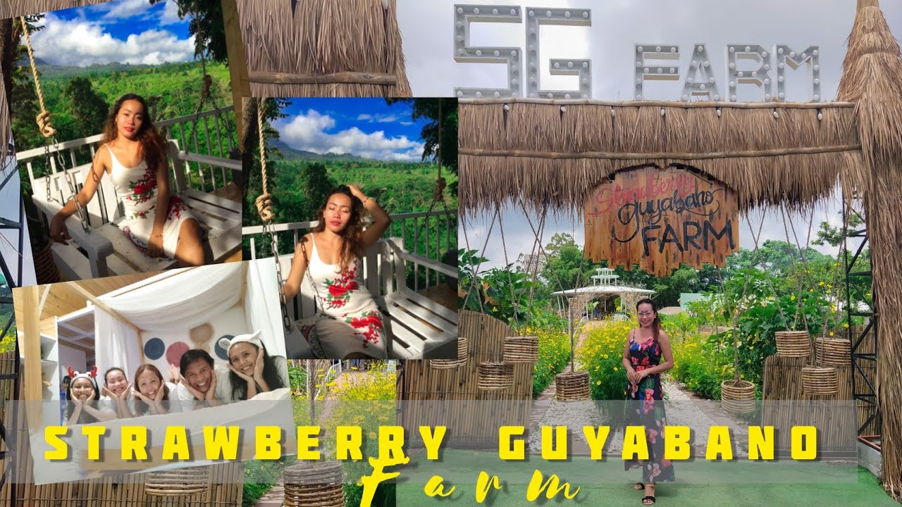 Tupi ( Strawberry Guyabano Farm) part 2 - YouTube
