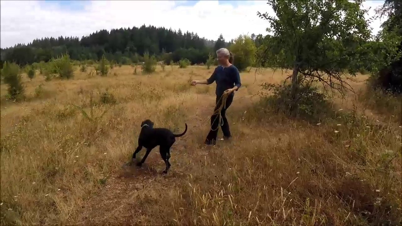 Beau long line hunting - YouTube