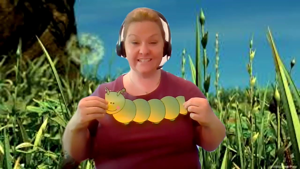 going on a bug hunt - YouTube