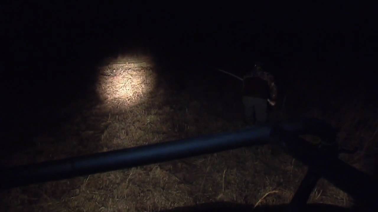 Snipe / Woodcock Hunting at Night - YouTube
