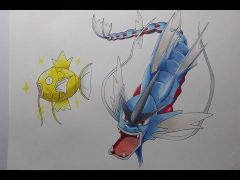Speed draw Mega Gyarados and Magikarp from Pokemon ギャラドス and コイキング ...