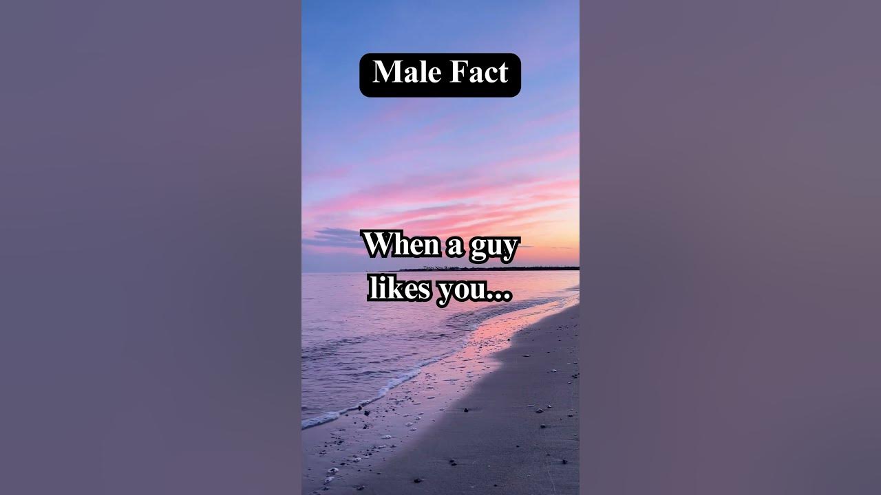 Male Facts YouTube male-facts-youtube