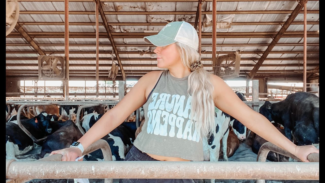 How many people does it take to catch one heifer? | NYFarmGirls | The ...