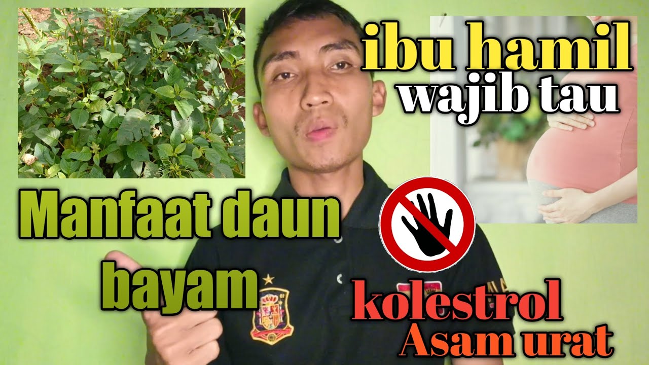 Manfaat daun BAYAM Wajib tau!!!bagi kesehatan Tubuh kita - YouTube