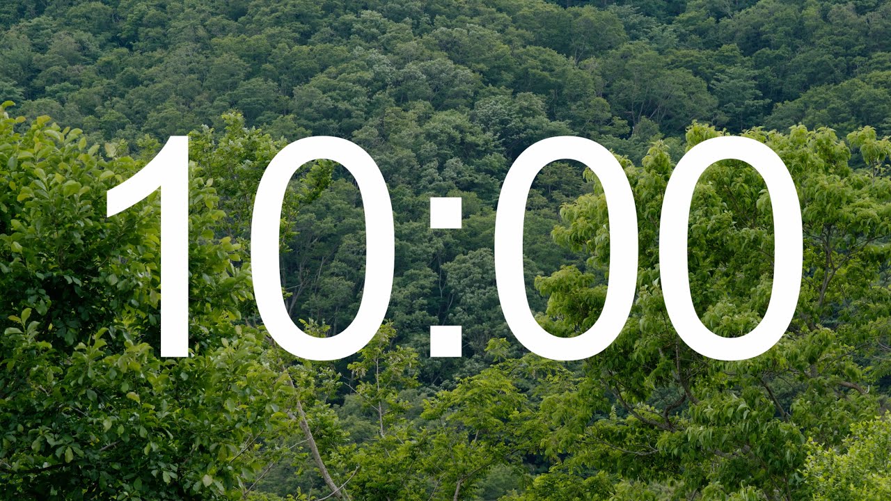 10 Minute Timer with Relaxing Music | Forest Background + Nature Bird ...